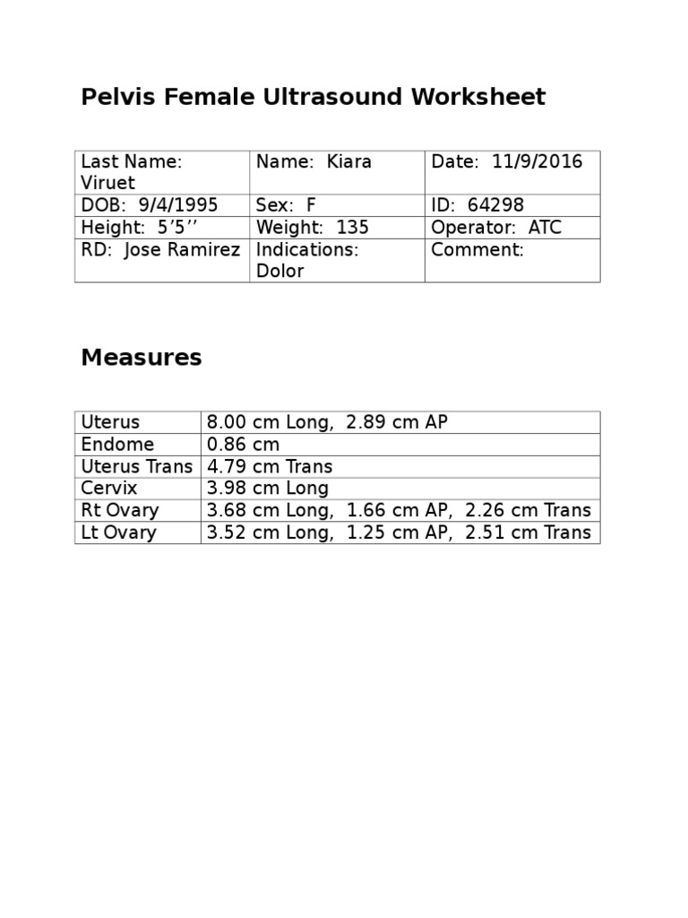 Pelvis Female Ultrasound Worksheet | PDF