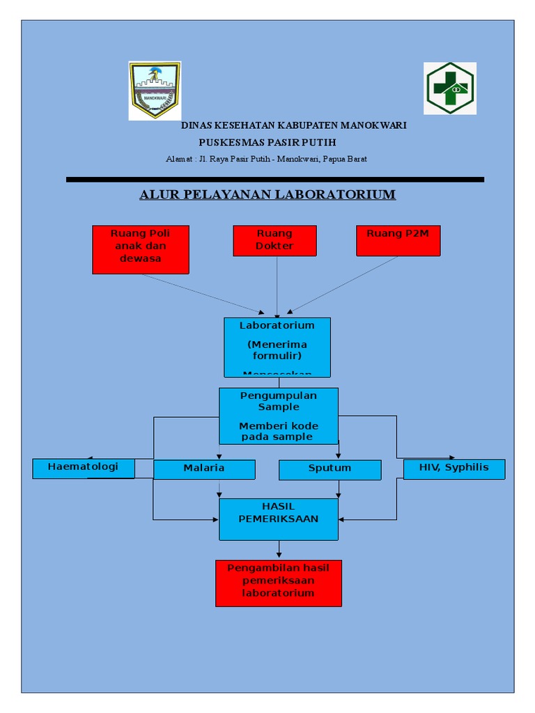 Alur Pelayanan Laboratorium | PDF