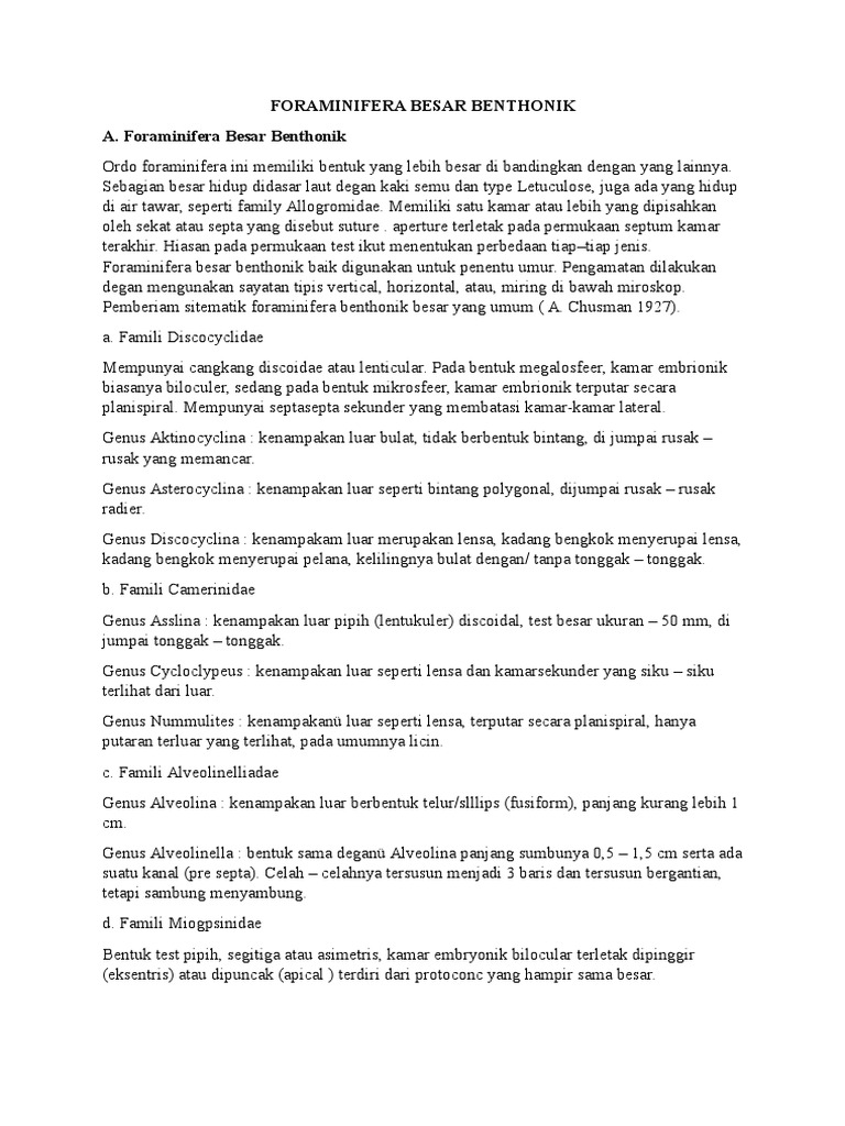 Foraminifera Besar Benthonik | PDF