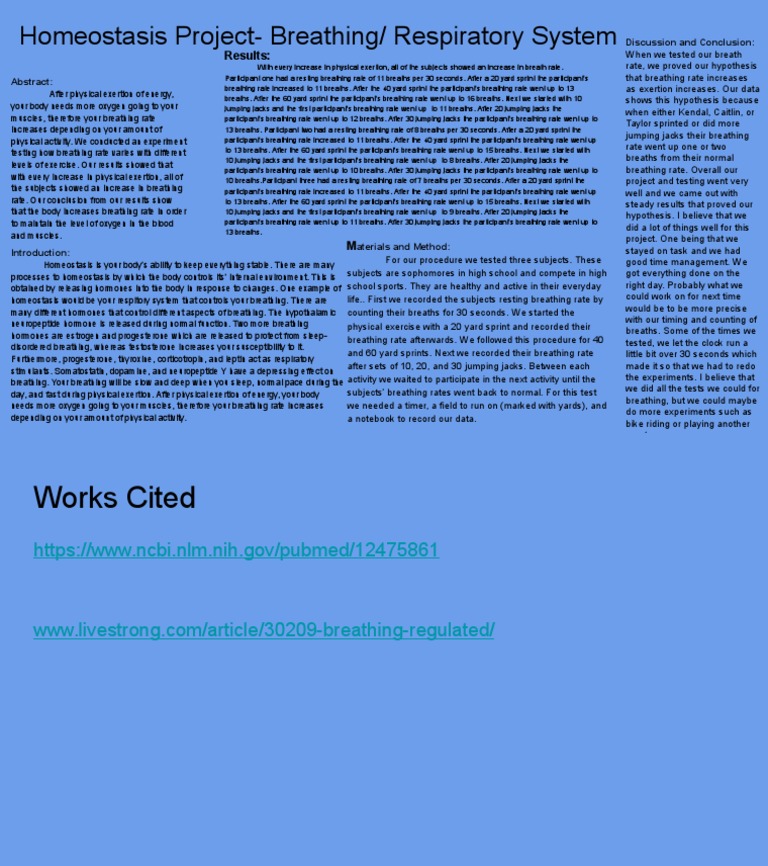 Homeostasis Project | PDF | Breathing | Physical Exercise