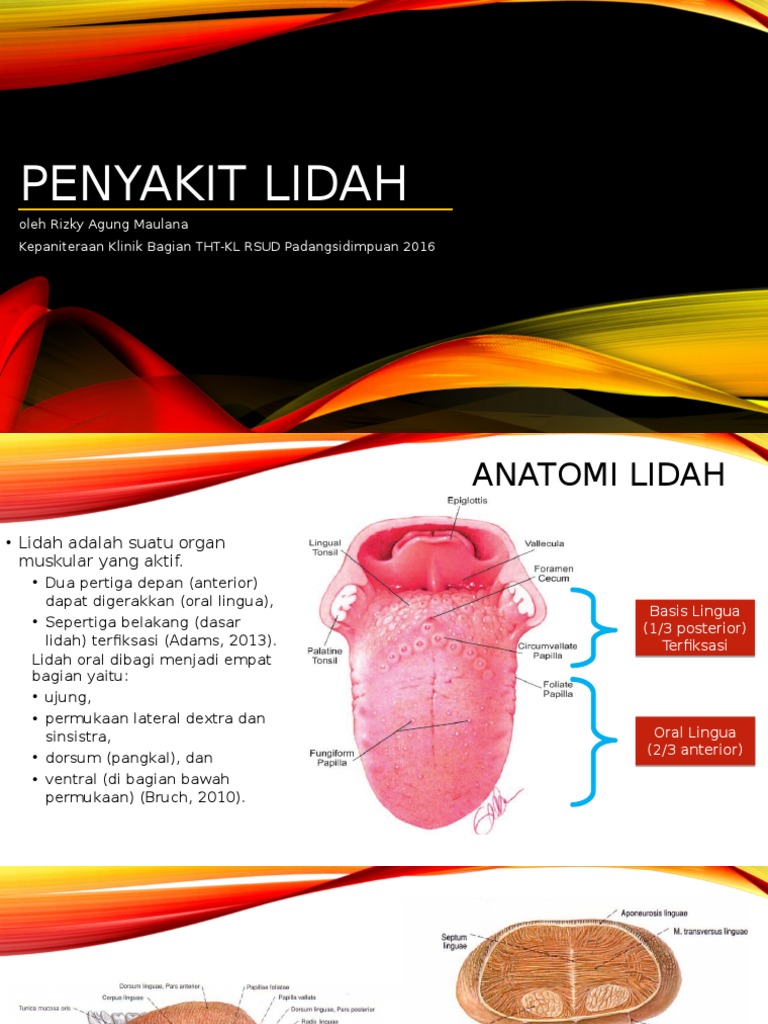 LIDAH | PDF