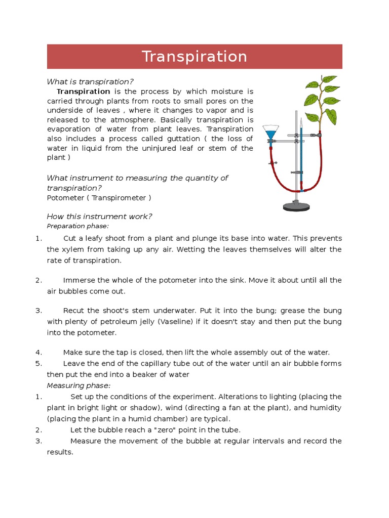 Measuring Transpiration and Evapotranspiration: A Guide to Key ...