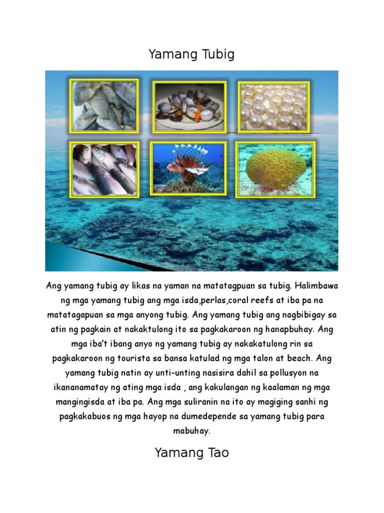 Mga Yamang Likas Yamang Lupa Tubig Mineral At Anyong Tubig Shopee Porn Sex Picture