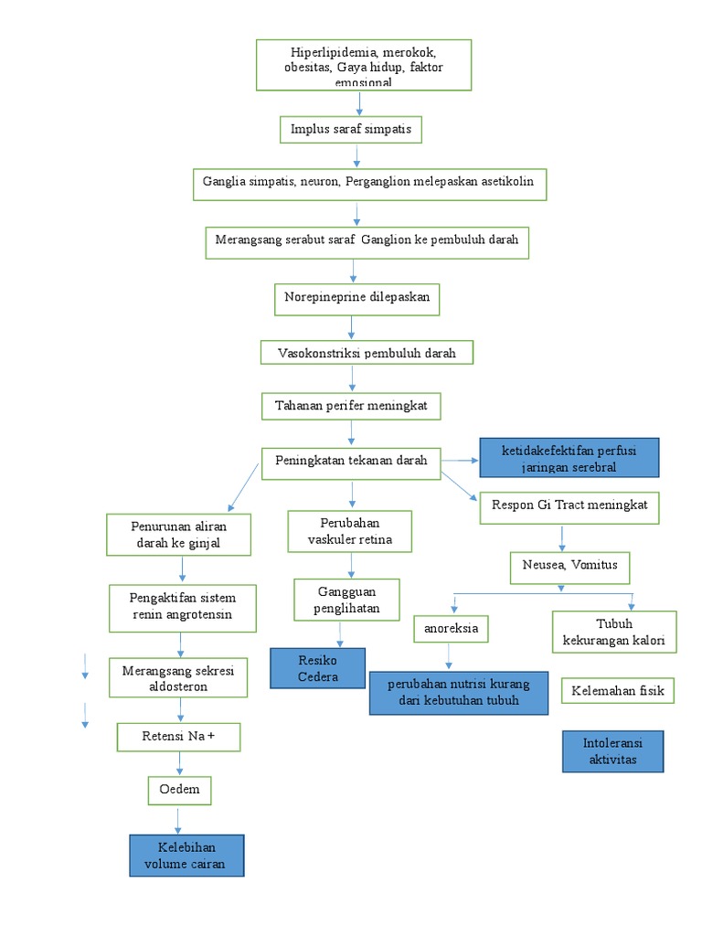 Pathway Hipertensi Baru | PDF