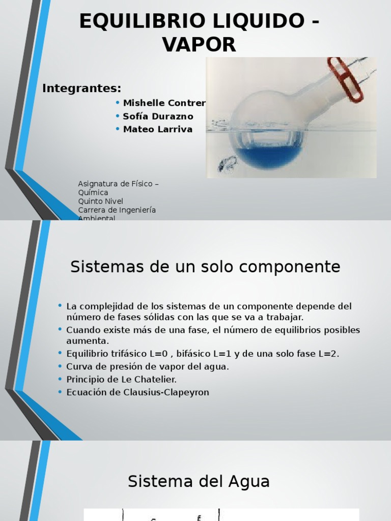 Equilibrio Liquido Vapor | PDF | Líquidos | Gases