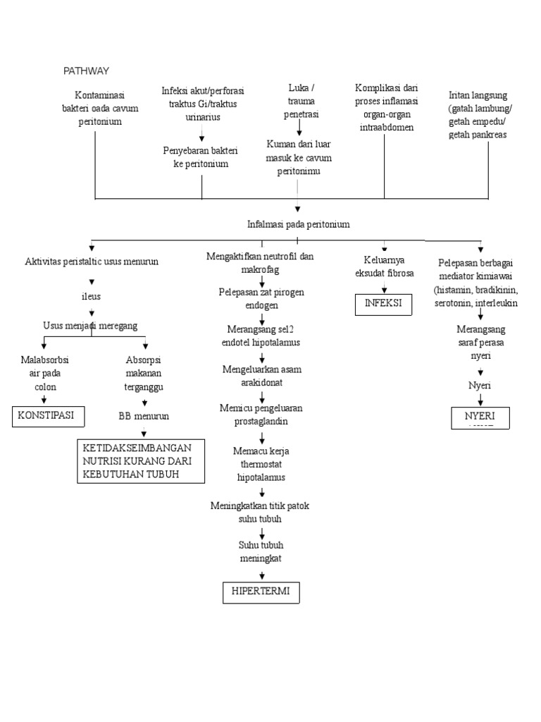 PATHWAY Peritonitis | PDF