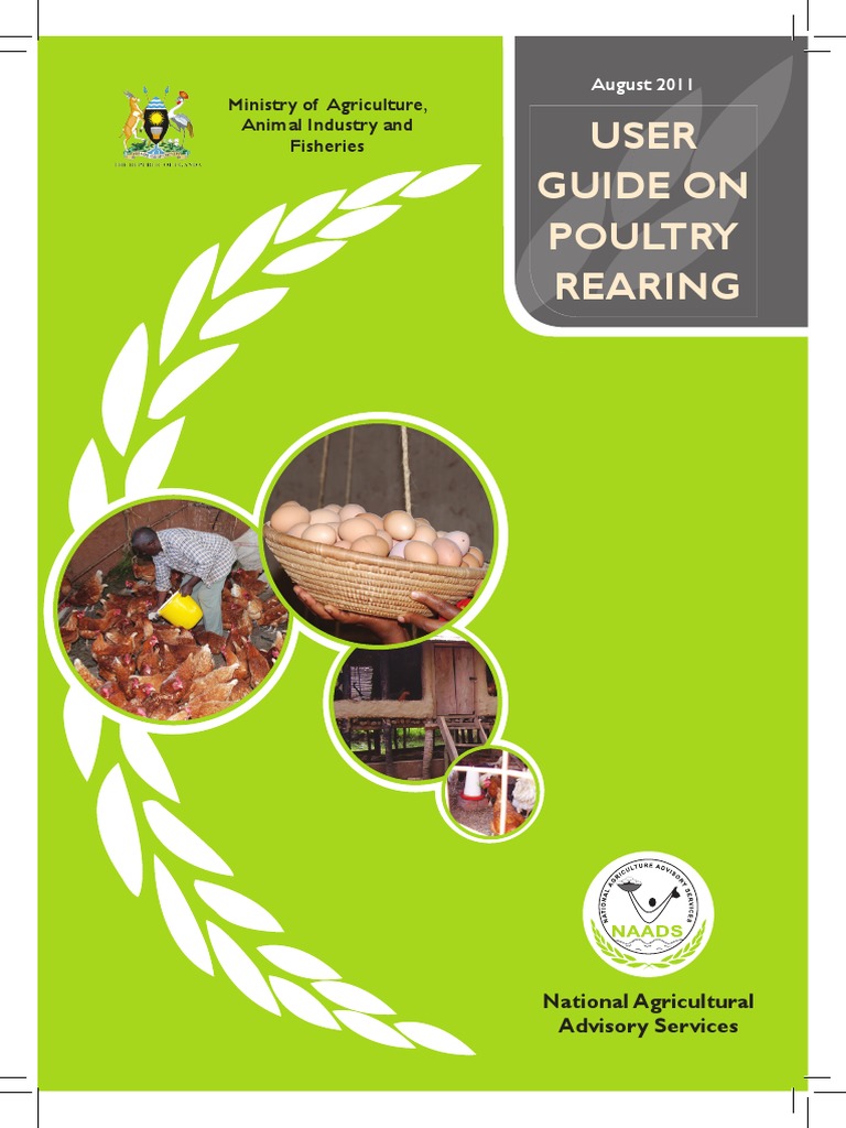 A Comprehensive Guide to Poultry Rearing for Improved Livelihoods: Best ...