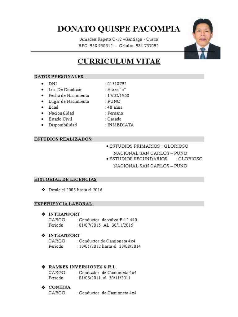Curriculum Donato Quispe | PDF
