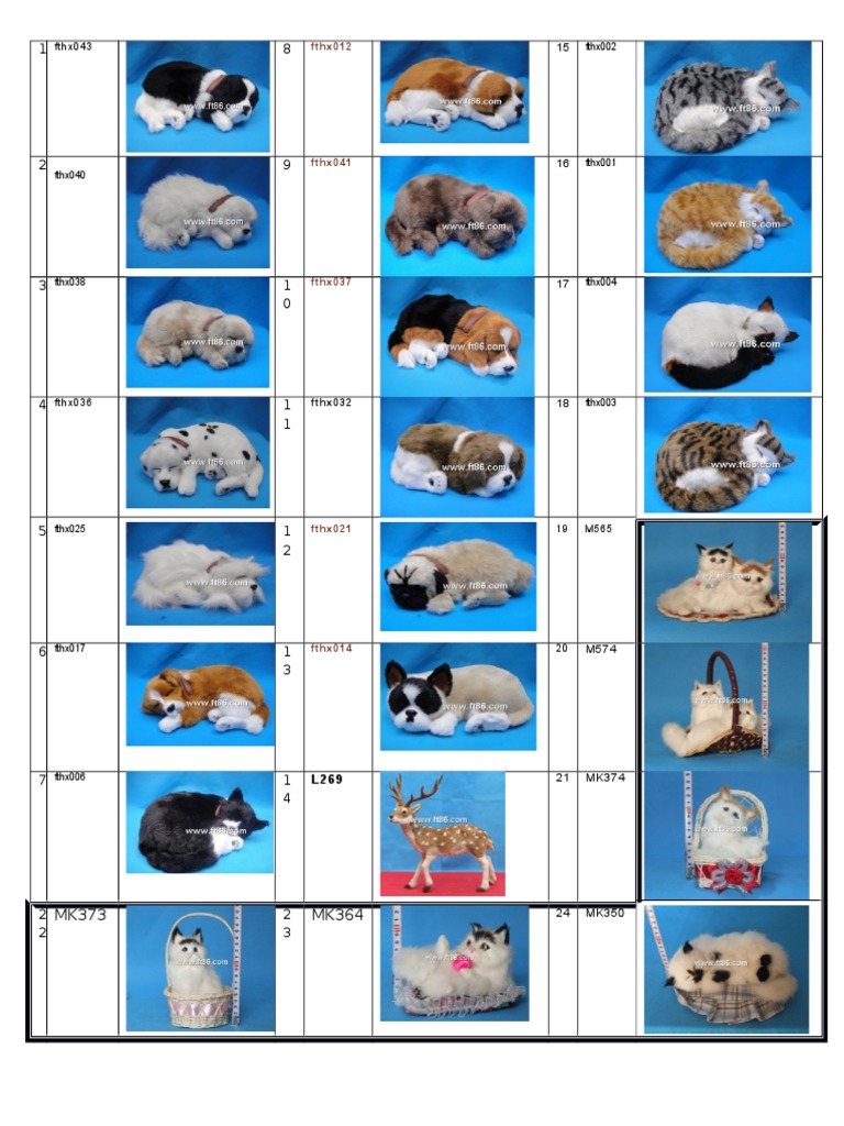Perfect Petzz | PDF
