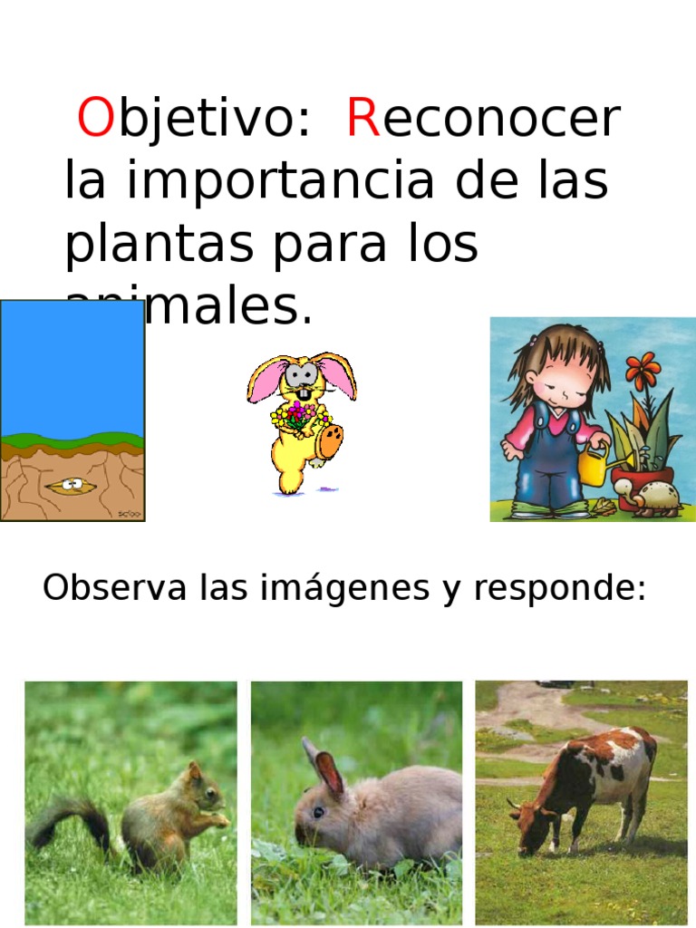 Importancia de Las Plantas para Los Animales | PDF
