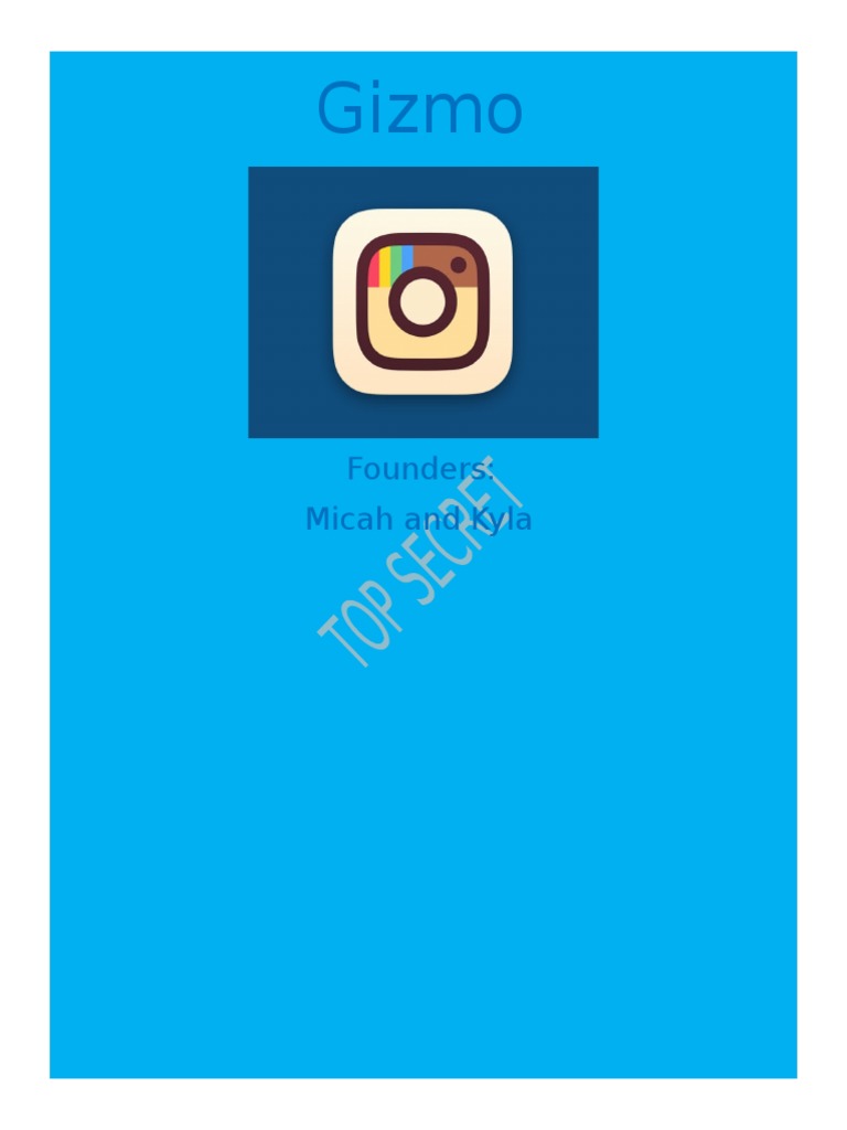 Gizmo | PDF