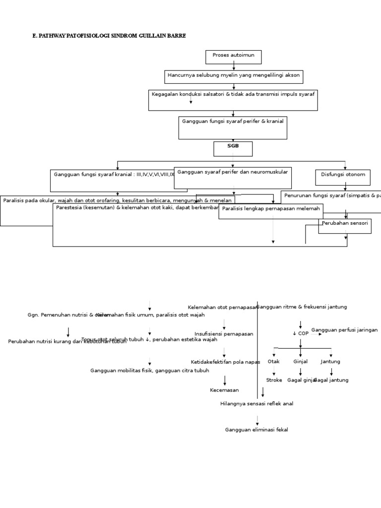 Guillain Barre Syndrome Pathway | PDF