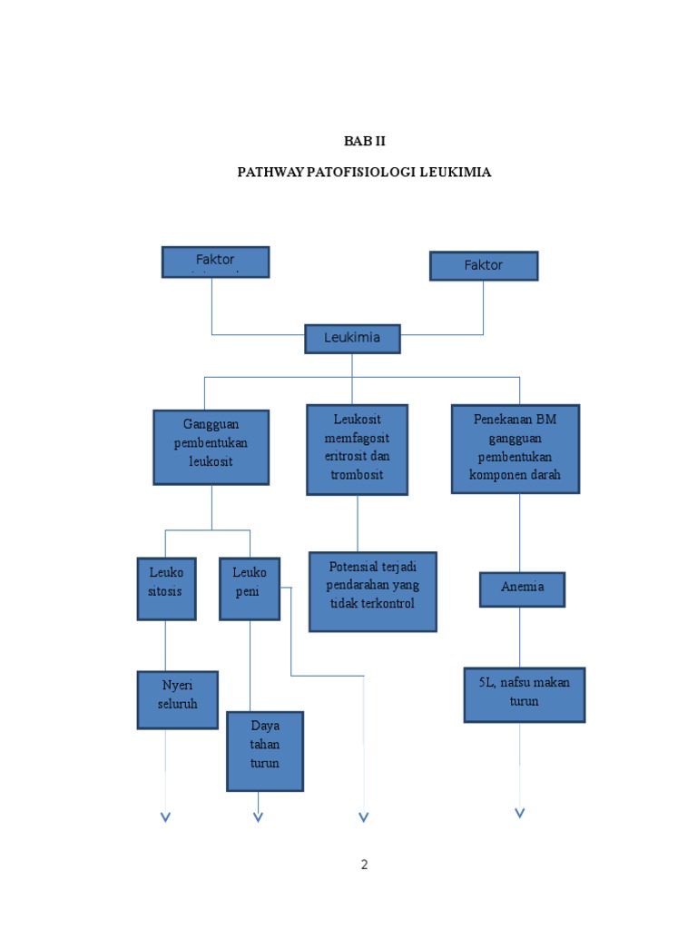 Pathway Leukimia | PDF