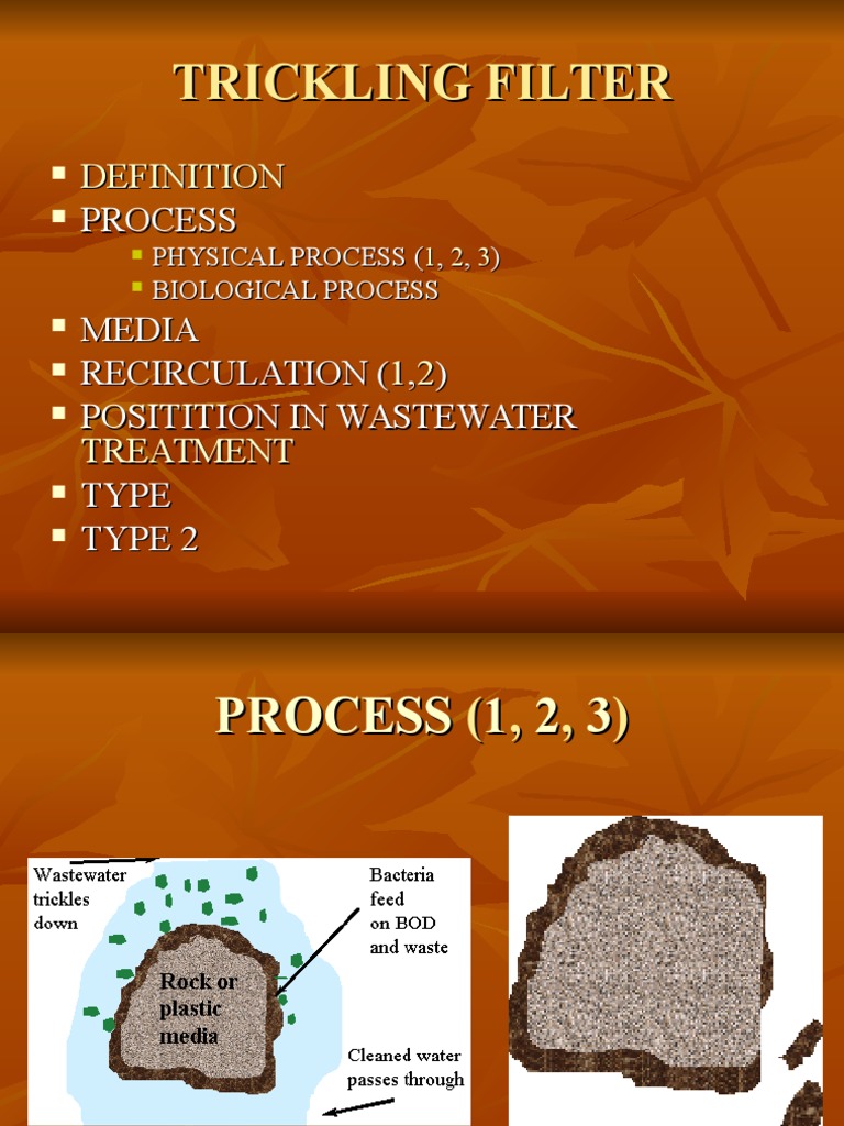 15 Trickling Filter | PDF