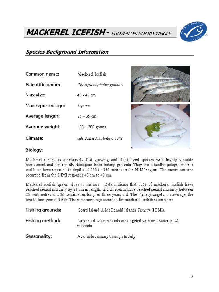 Mackerel Icefish: Species Background Information | PDF