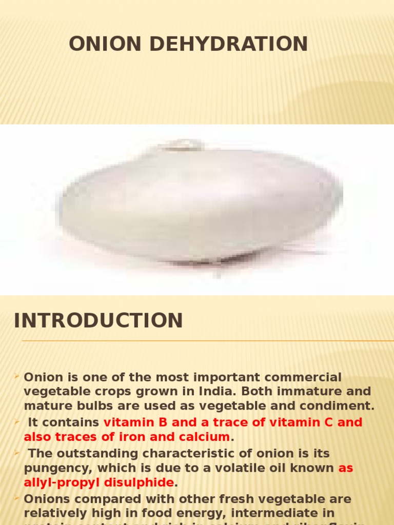Onion Dehydration | PDF | Onion | Vegetables