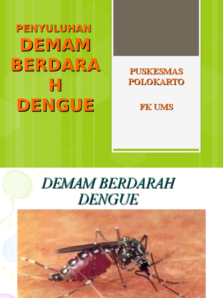 Penyuluhan DBD | PDF