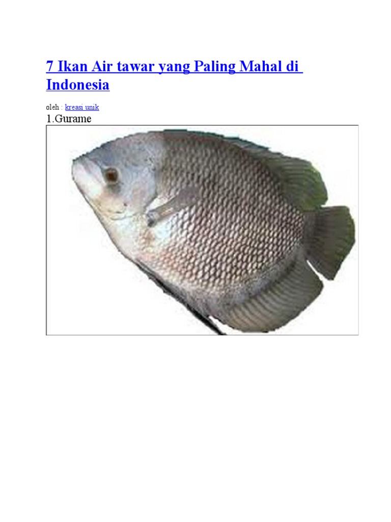 7 Ikan Air Tawar Yang Paling Mahal Di Indonesia | PDF