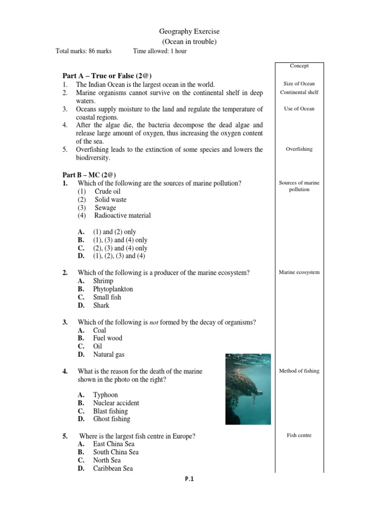 Ocean Geography Exercise Overview | PDF | Sea | Oceans