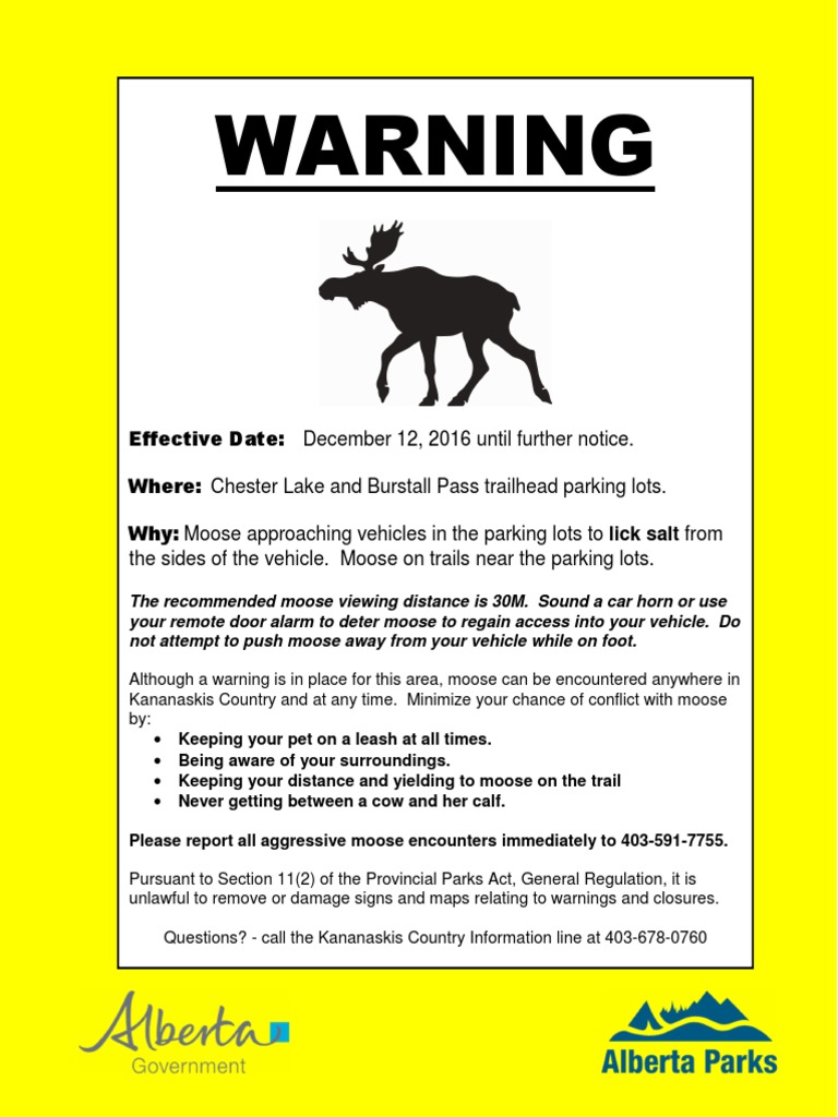 Moose Warning