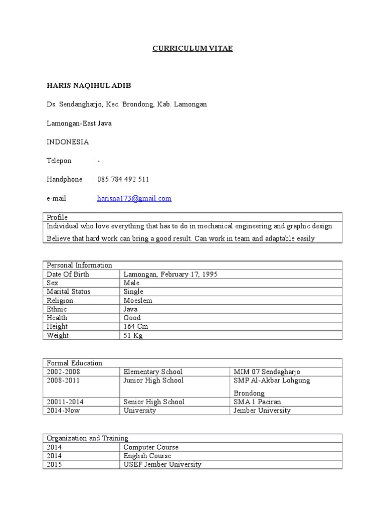 Curriculum Vitae Haris | PDF