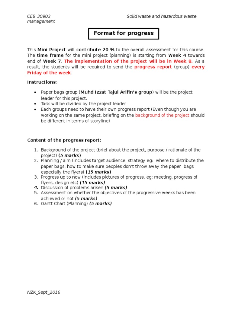 Progress Report Format | PDF