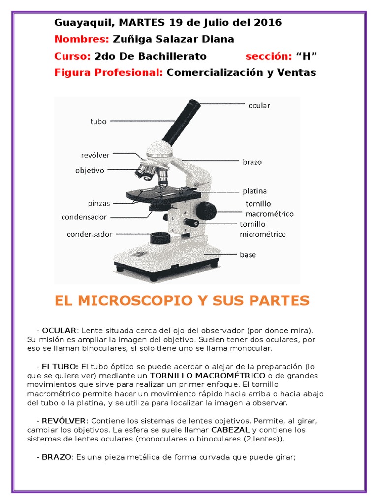 El Microscopio | Microscopio | Óptica