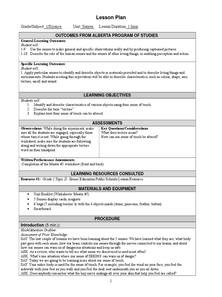 5 Senses Lesson 3 | PDF | Senses | Somatosensory System