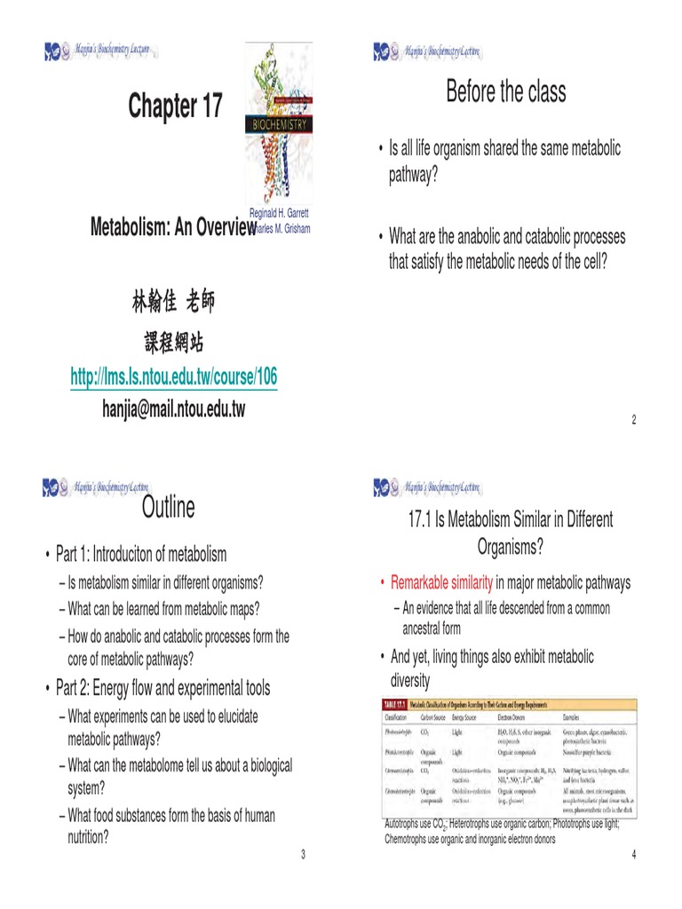 Biochemistry | PDF | Metabolic Pathway | Metabolism