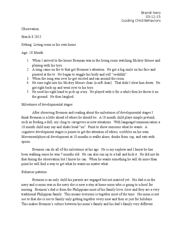 Observation | PDF | Child Development | Relationships