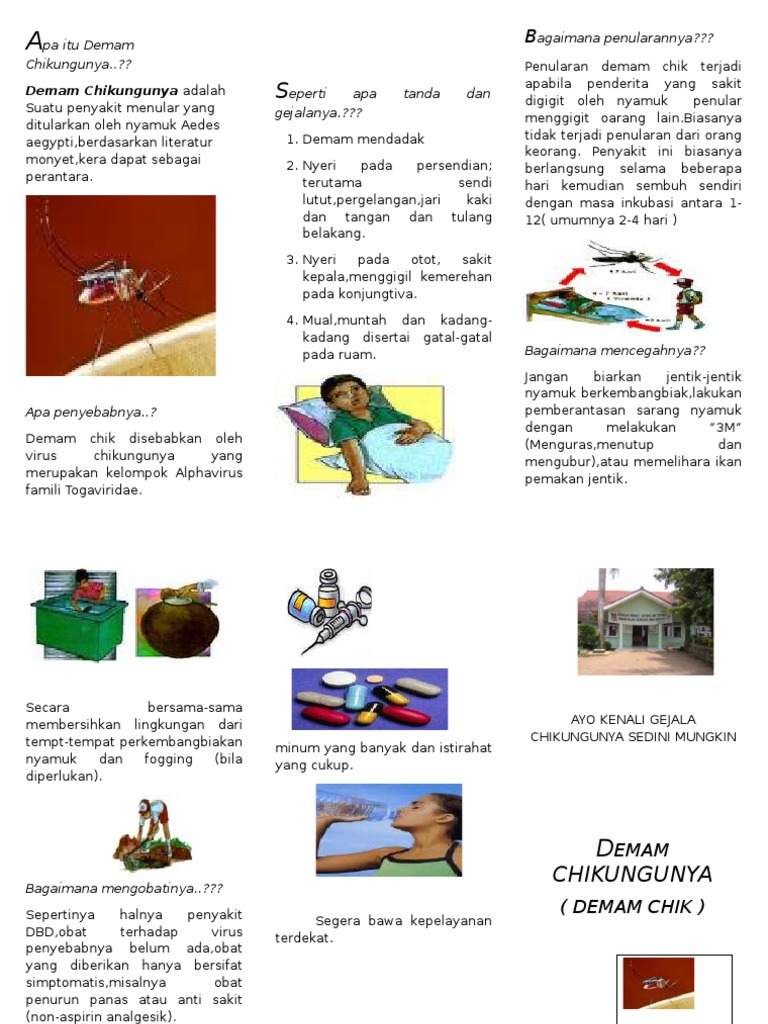 Leaflet Chikungunya | PDF