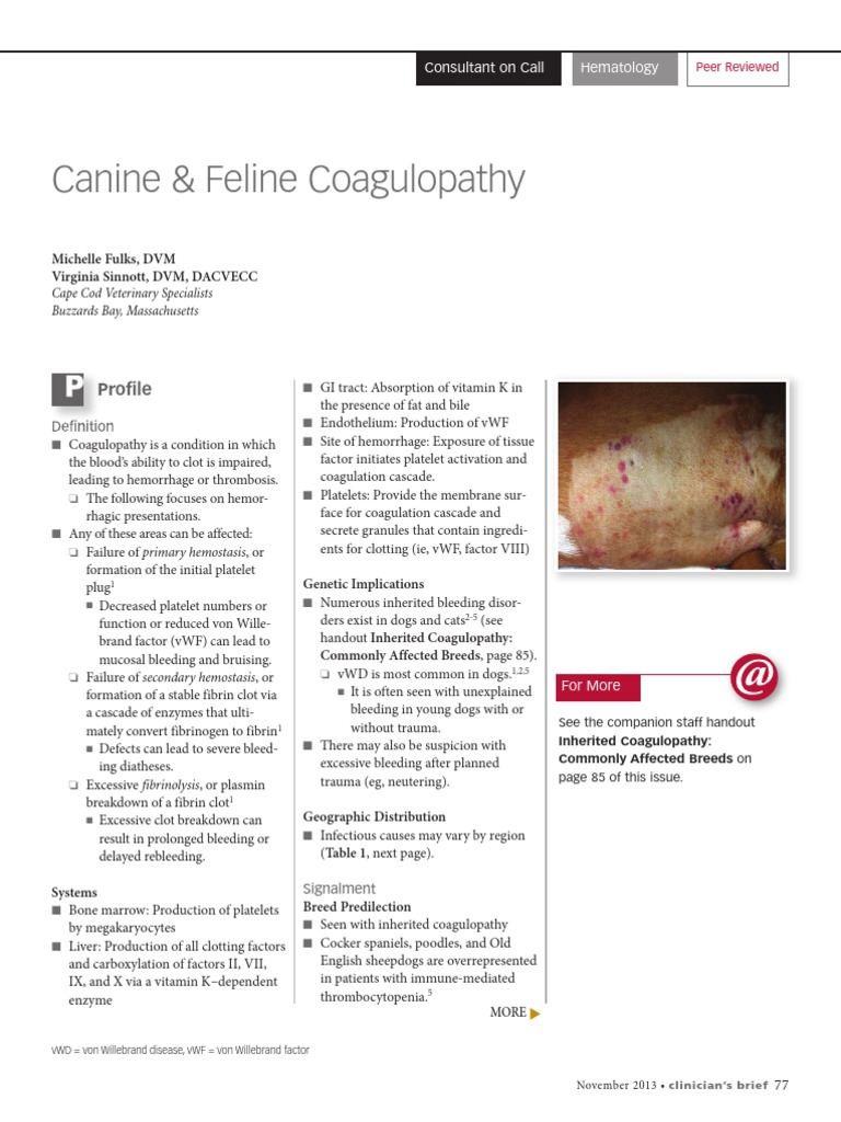Canine & Feline Coagulopathy | PDF | Coagulation | Bleeding