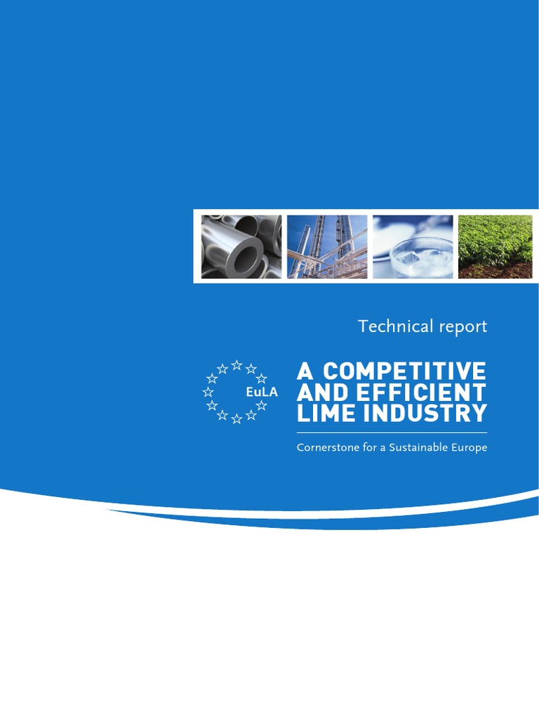 A Competitive and Efficient Lime Industry - Technical Report by Ecofys ...