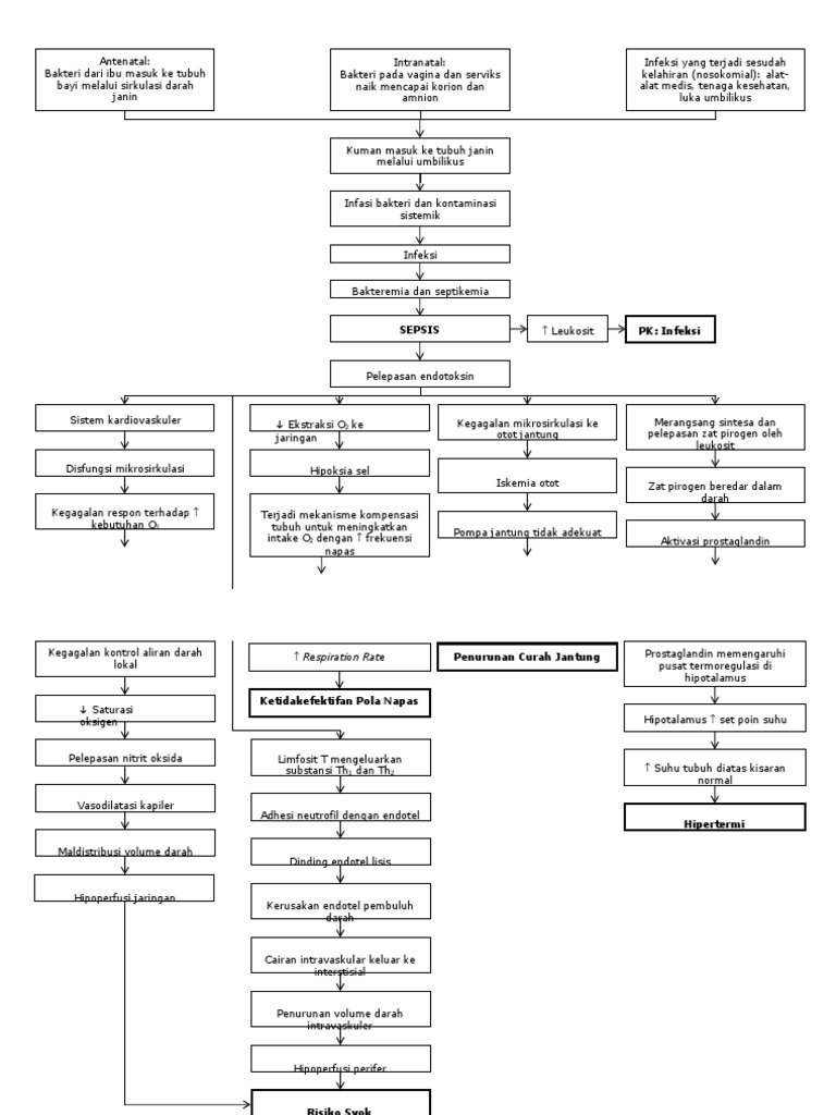 WOC Pathway Sepsis | PDF