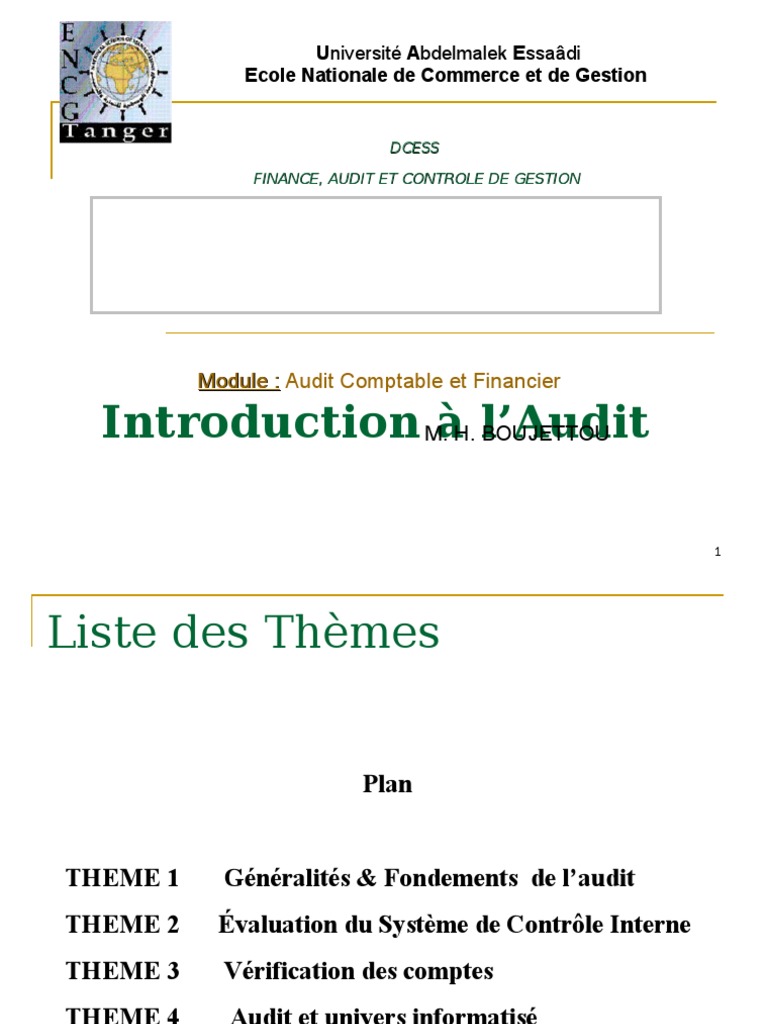 Cours Audit Theme 1 2011 | PDF | Audit financier | Audit