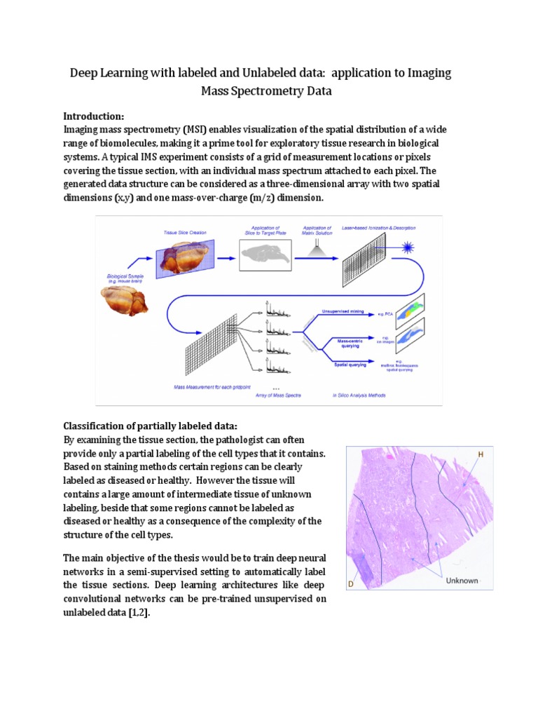 DeepLearning With Labeled and Unlabeled Data Application To Imaging ...