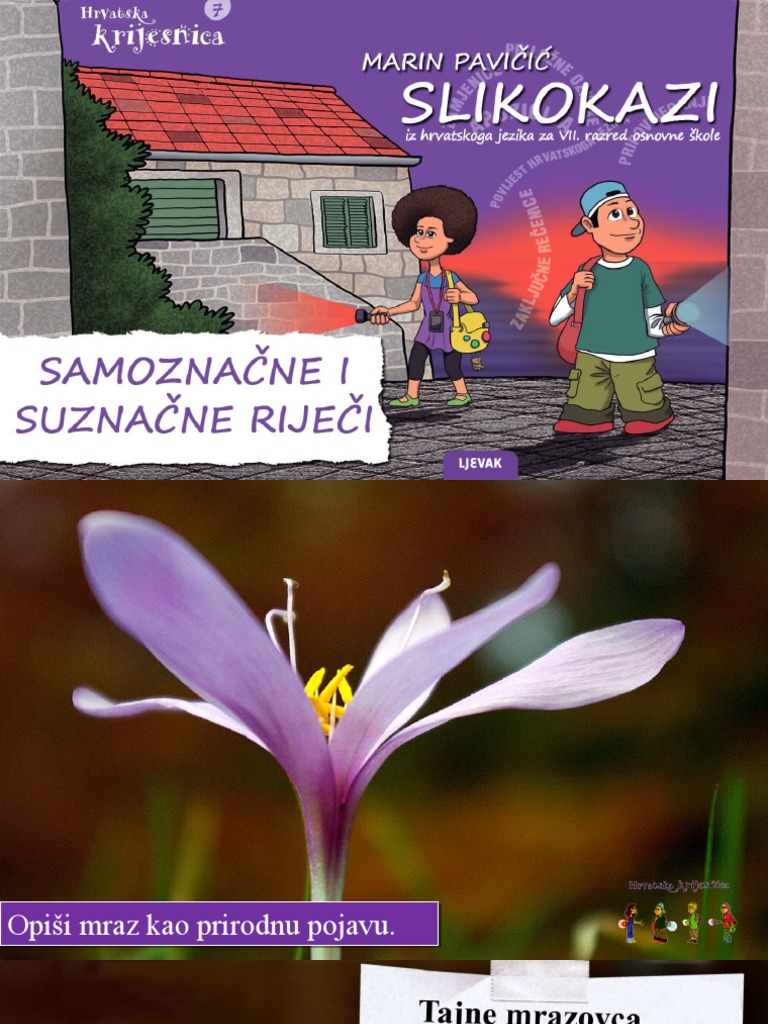 Samoznacne I Suznacne Rijeci | PDF