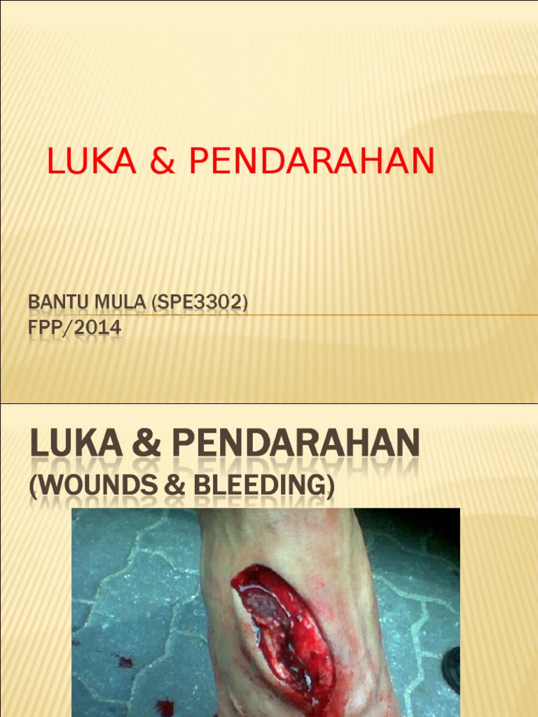 Luka Dan Berdarah | PDF