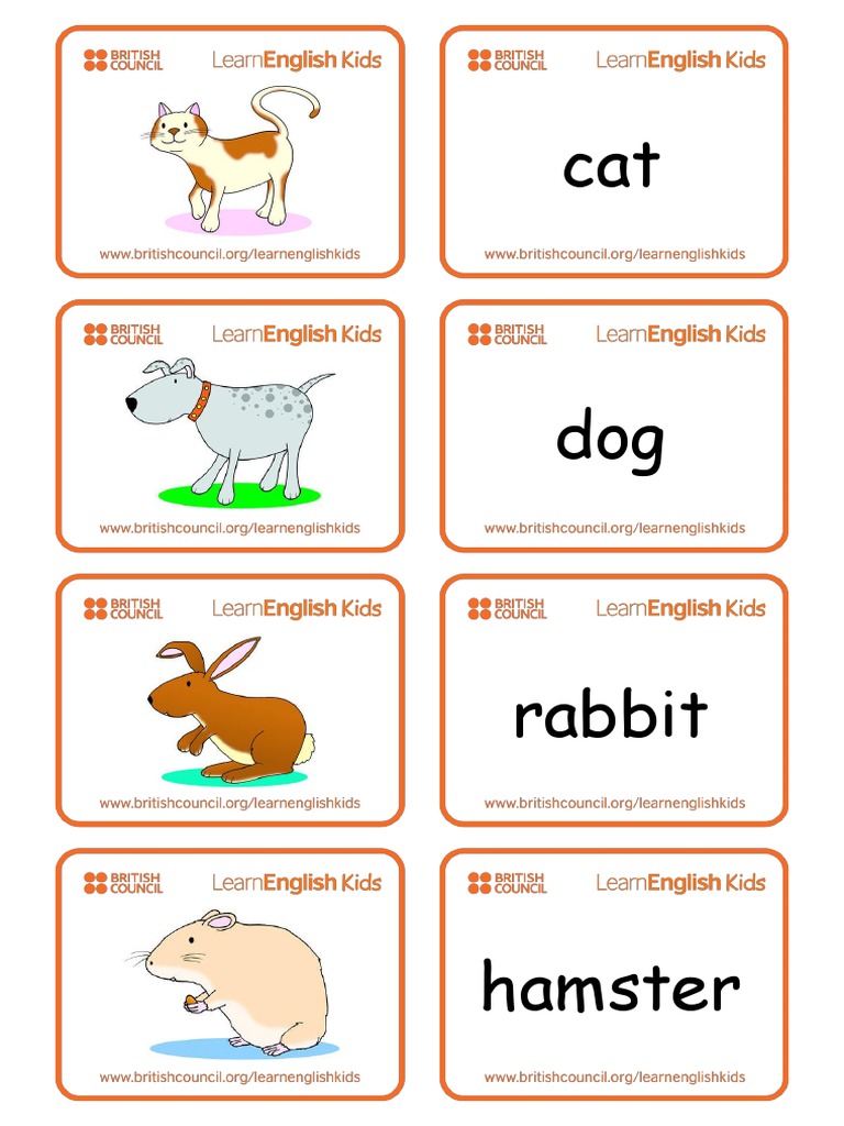 Flashcards Pets | PDF