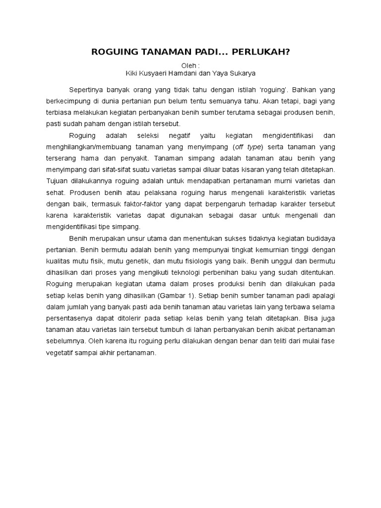 Pentingnya Roguing pada Padi | PDF