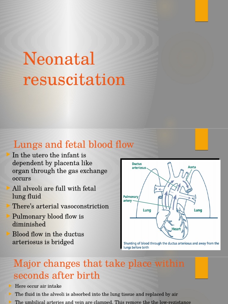 Neonatal Resuscitation | PDF