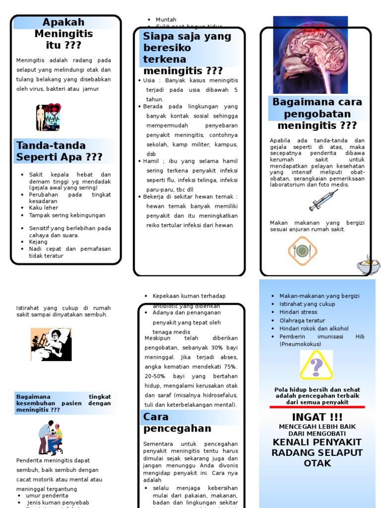 Leaflet Meningitis | PDF