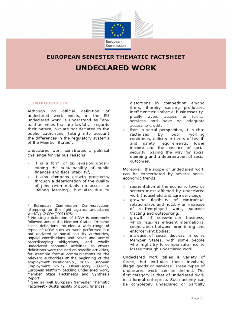 European Semester Thematic Factsheet Undeclared Work en | PDF ...