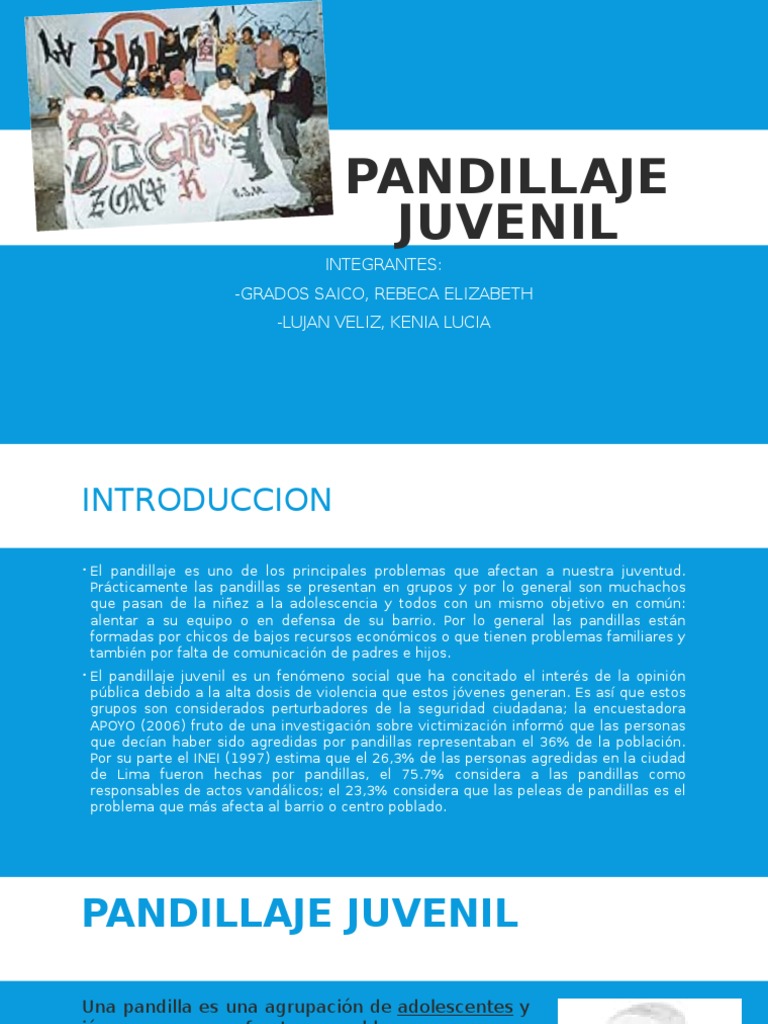 Pandillaje Juvenil en Perú: Causas y Efectos | PDF | Juventud | Desempleo