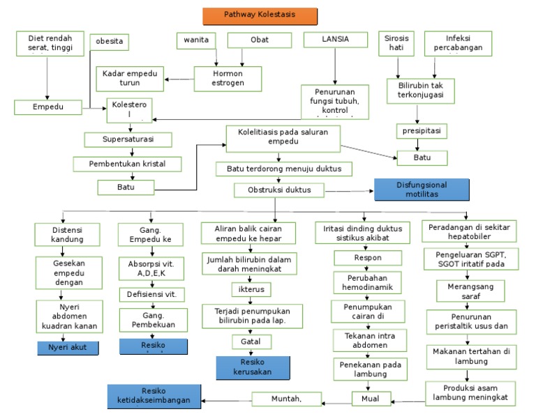 Pathway Kolestasis