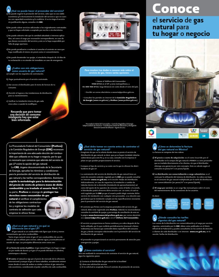Triptico Gas Natural | PDF | Los consumidores | Economias Triptico Gas Natural | PDF | Los consumidores | Economias