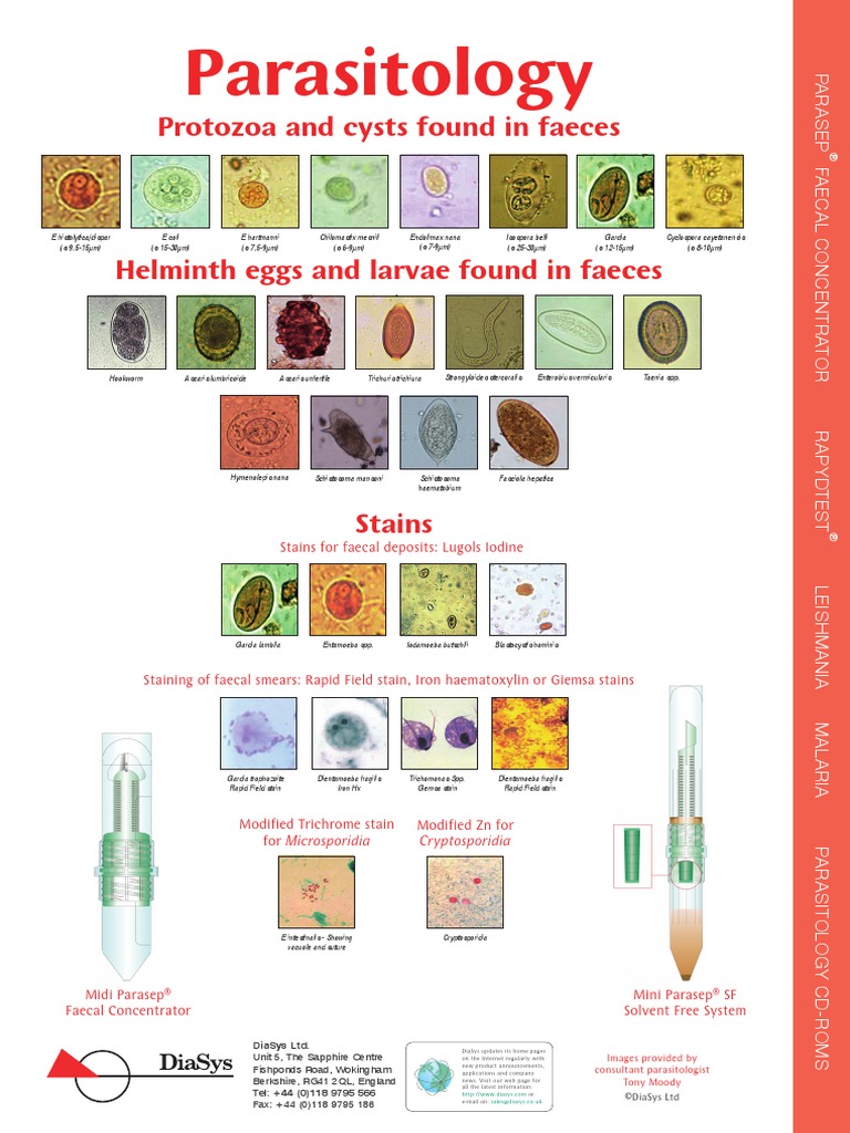 Parasitology Poster 2010 | PDF