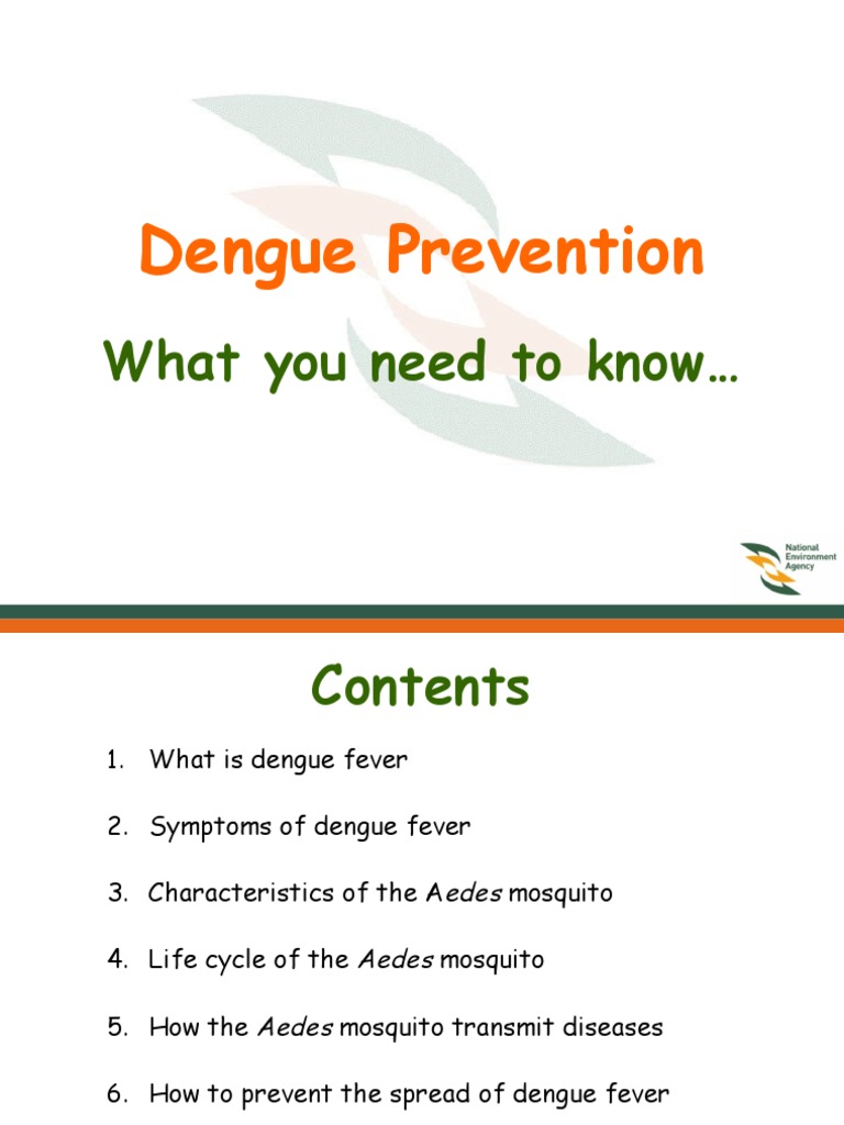 Dengue Prevention: What You Need To Know | PDF