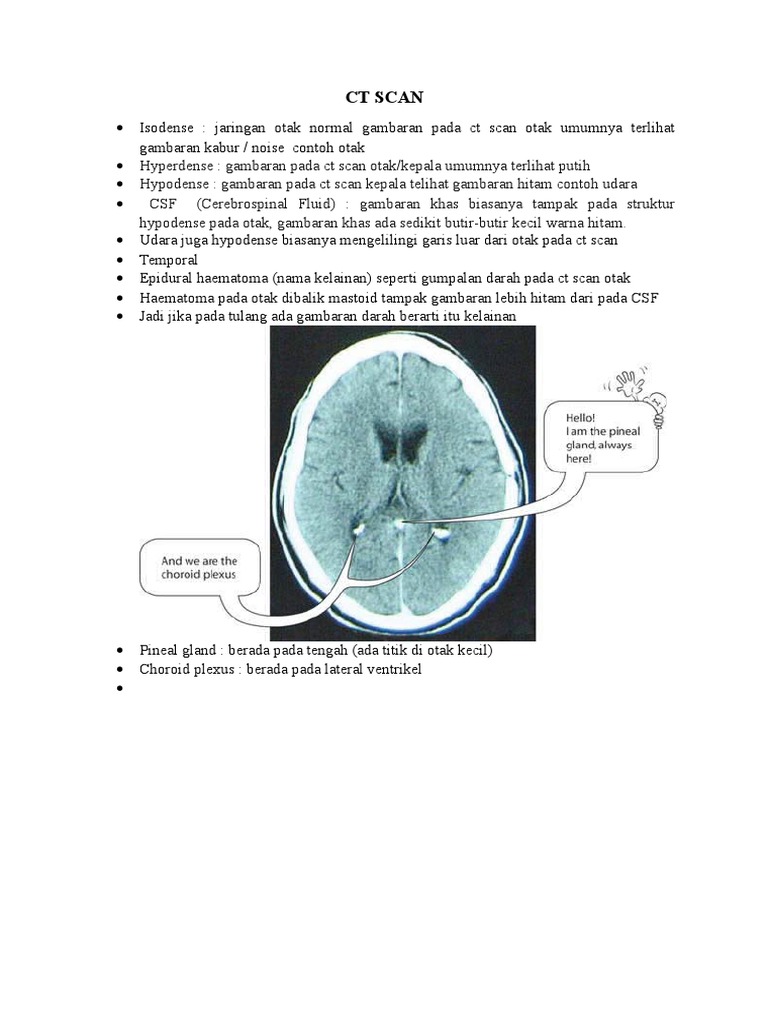 Belajar CT Scan | PDF
