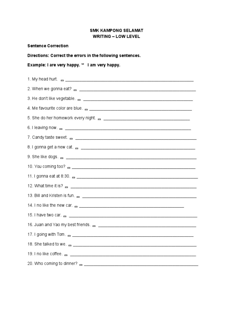 Sentence Correction Practice Exercise | PDF